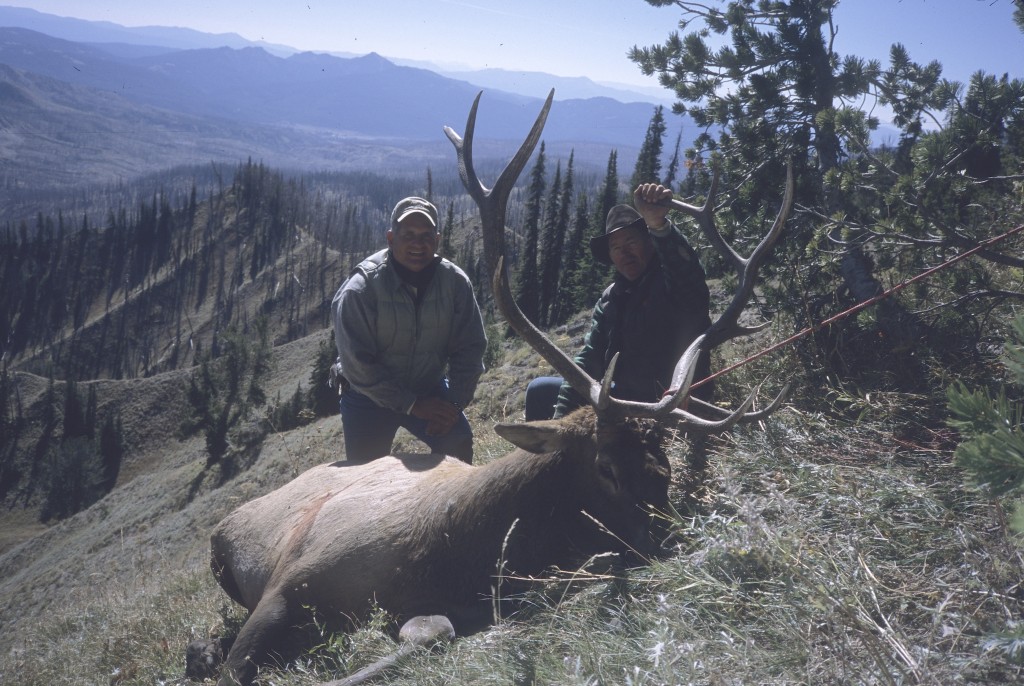 Look High For Big Bulls - Eastmans' Official Blog | Mule Deer, Antelope ...