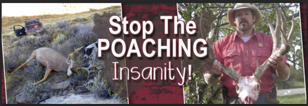 Stop The Poaching Insanity! - Eastmans' Official Blog | Mule Deer ...