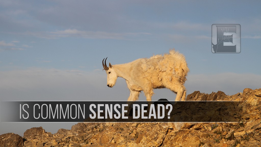 Is Common Sense Dead? - Eastmans' Official Blog | Mule Deer, Antelope ...