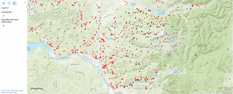 Hoof Rot: A Crisis In The Pacific Northwest - Eastmans' Official Blog ...