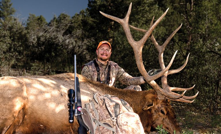 Quick and Easy Field Judging Bull Elk - Eastmans' Official Blog | Mule ...