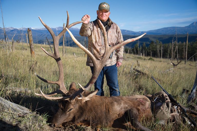 Quick and Easy Field Judging Bull Elk - Eastmans' Official Blog | Mule ...