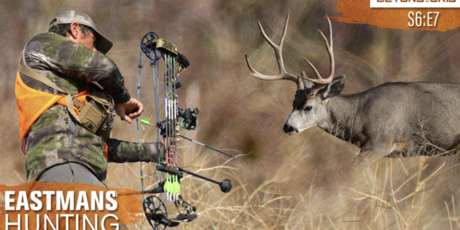 Bow Hunting Deer DIY with Brian Barney - Eastmans' Official Blog | Mule ...