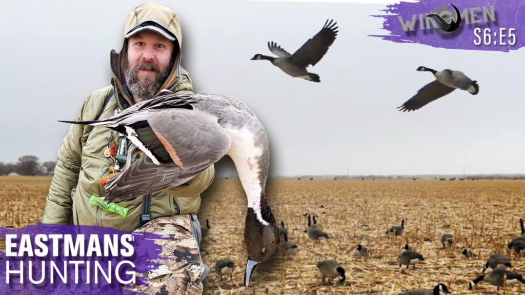 We Shot a Pintail! 🦆 Hunting A Huge Feed - Eastmans' Official Blog ...