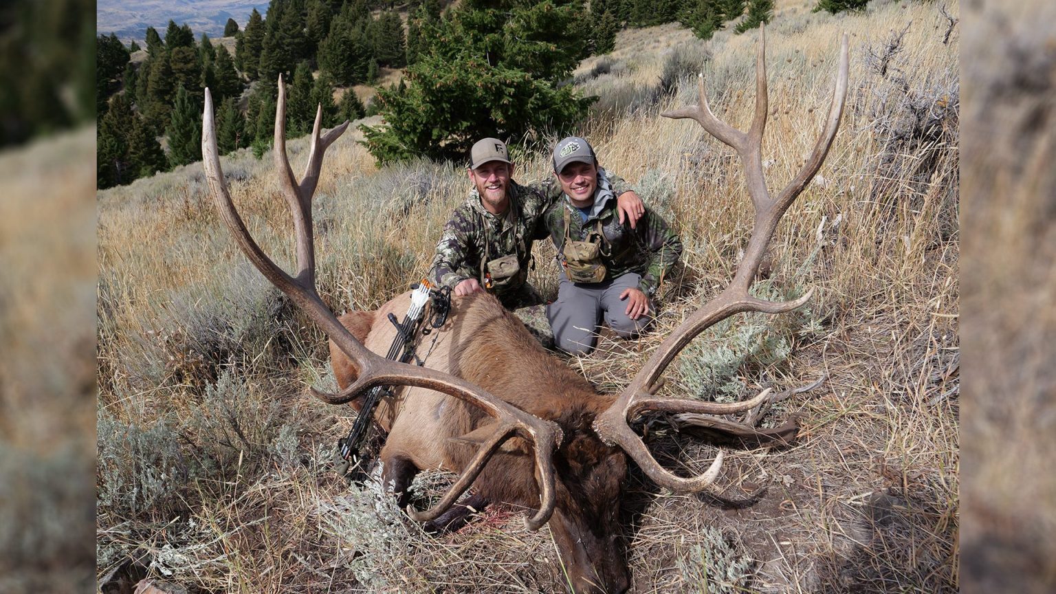 Tips & Tactics: Elk Strategies - Early to Late [Blog] - Eastmans ...