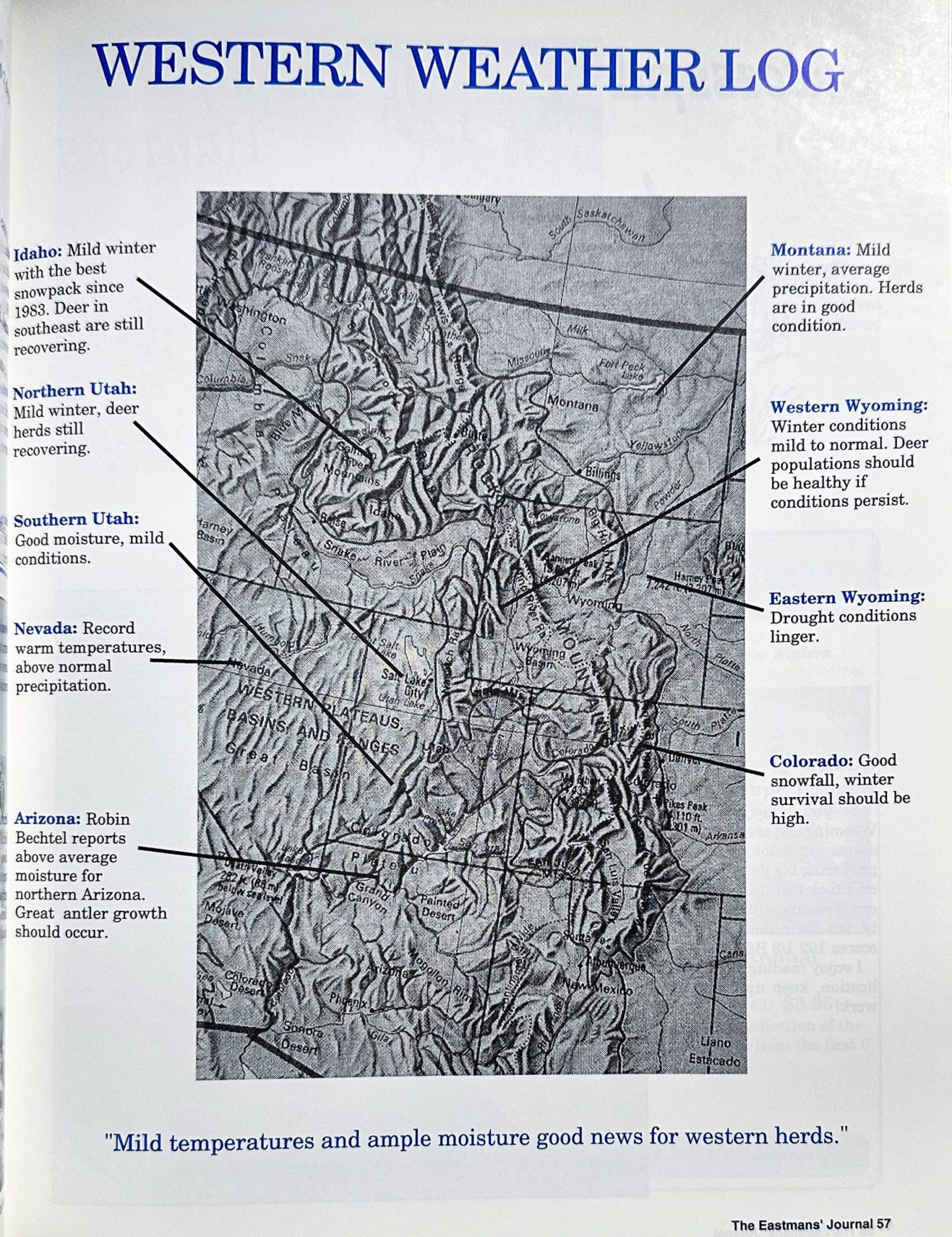 Historic EHJ i29 | 1995