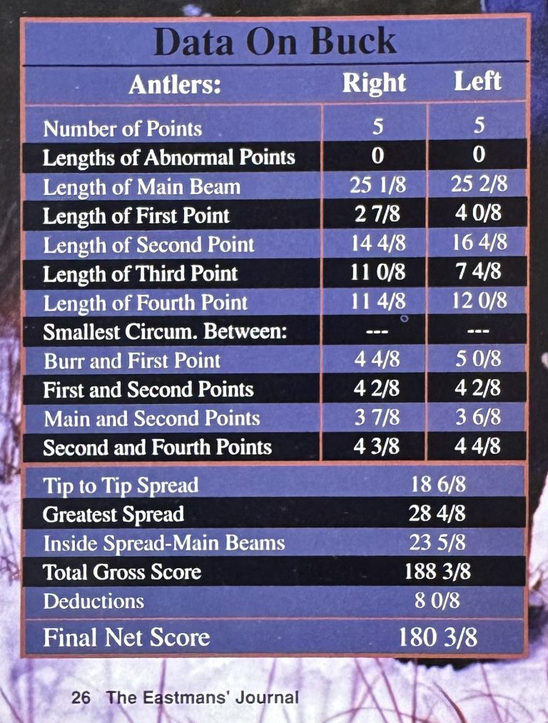 Historic EHJ i29 | 1995