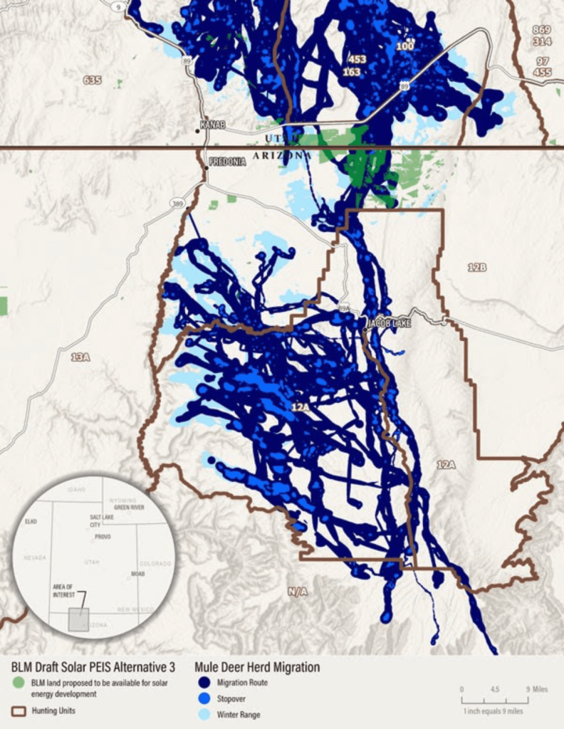 BLM Solar Plan Affects Winter Range - COMMENT NOW! - Eastmans' Official ...