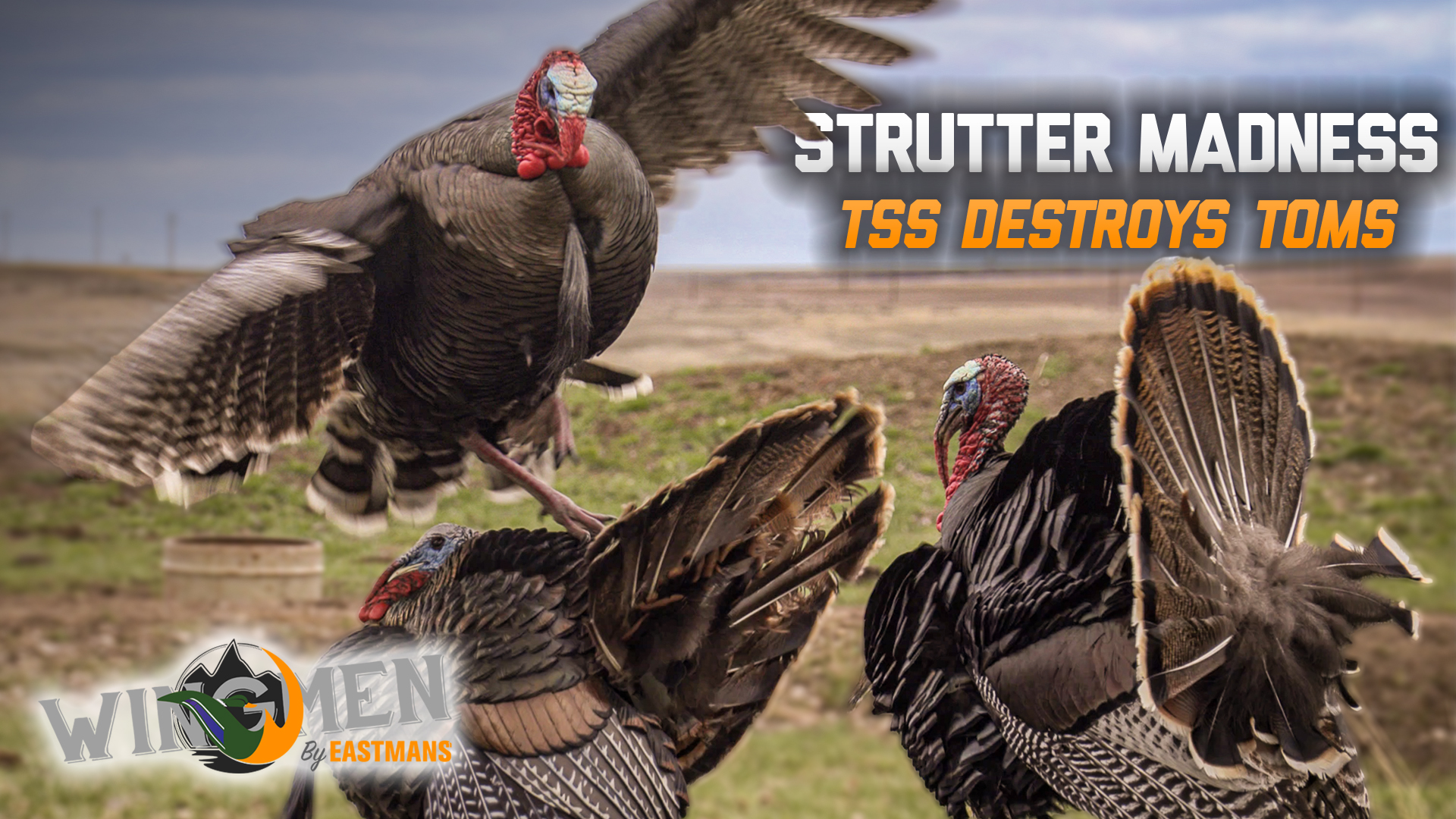 2024_MT_Turkey_thumbnail_V3_B - Eastmans' Official Blog | Mule Deer ...