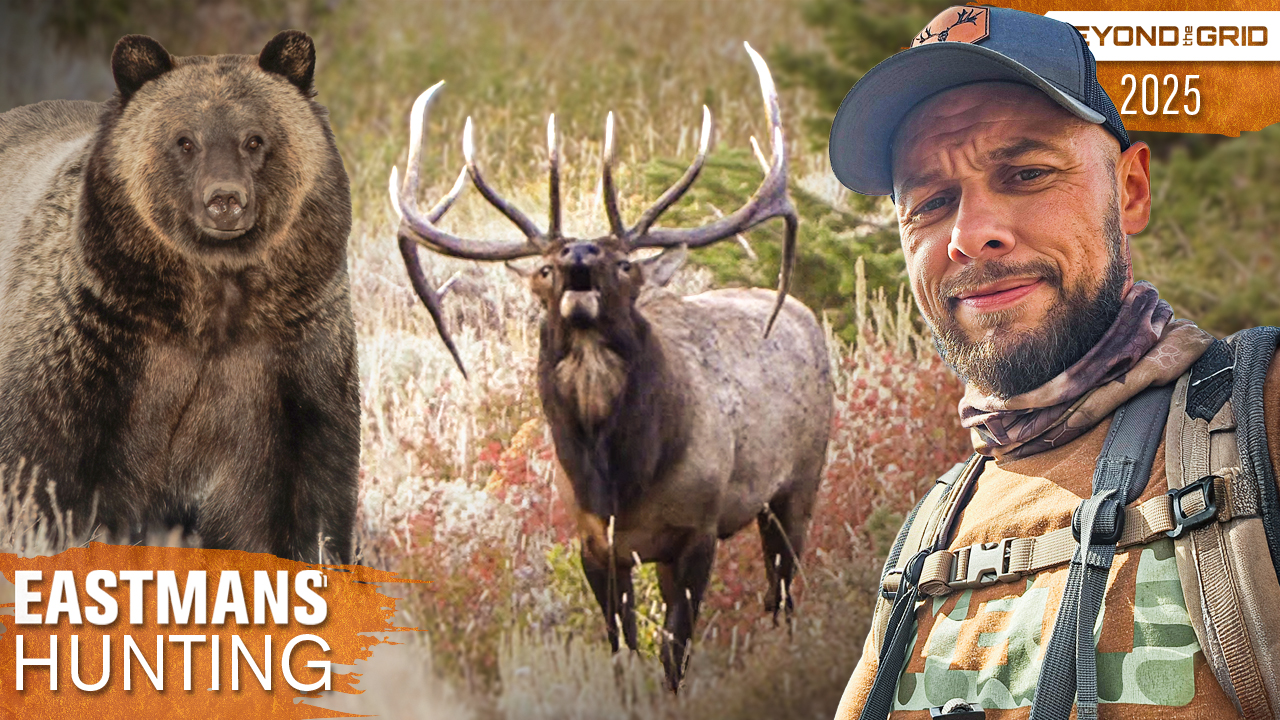 Grizzly Took My Bull! Elk Rut Bow Hunt on Public Land | Eastmans ...