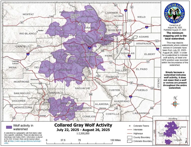 General Areas Inhabited by Gray Wolves in Colorado – Aug 2025 Update ...