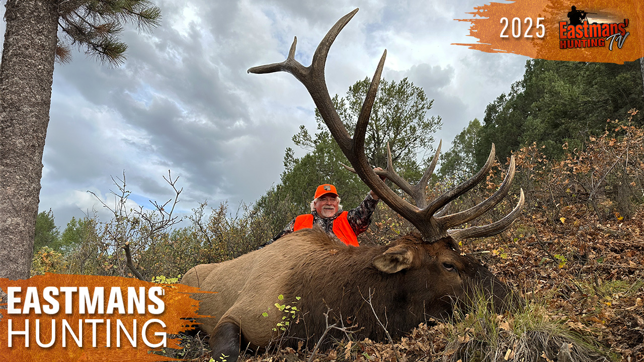 Eastmans Hunting TV: Elk Hunt Adventure in Southern Colorado - Eastmans ...