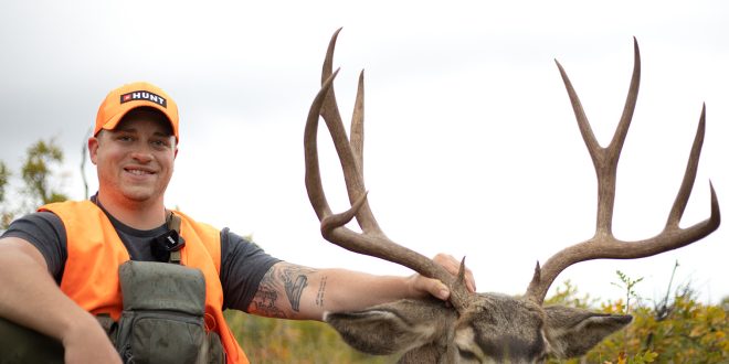 New 2026 Colorado Big Game and Sheep & Goat Brochures - Eastmans ...